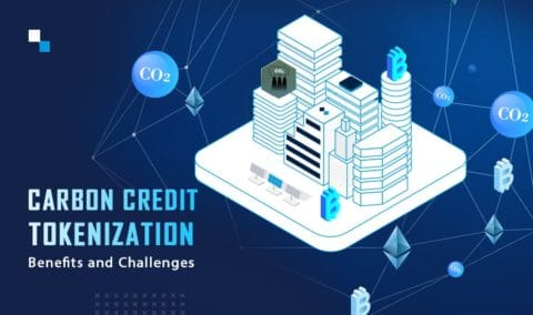 Tokenization Platform Development and Carbon Credit Tokenization
